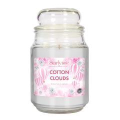 Starlytes 18oz Jar Candle - Apple Cinnamon