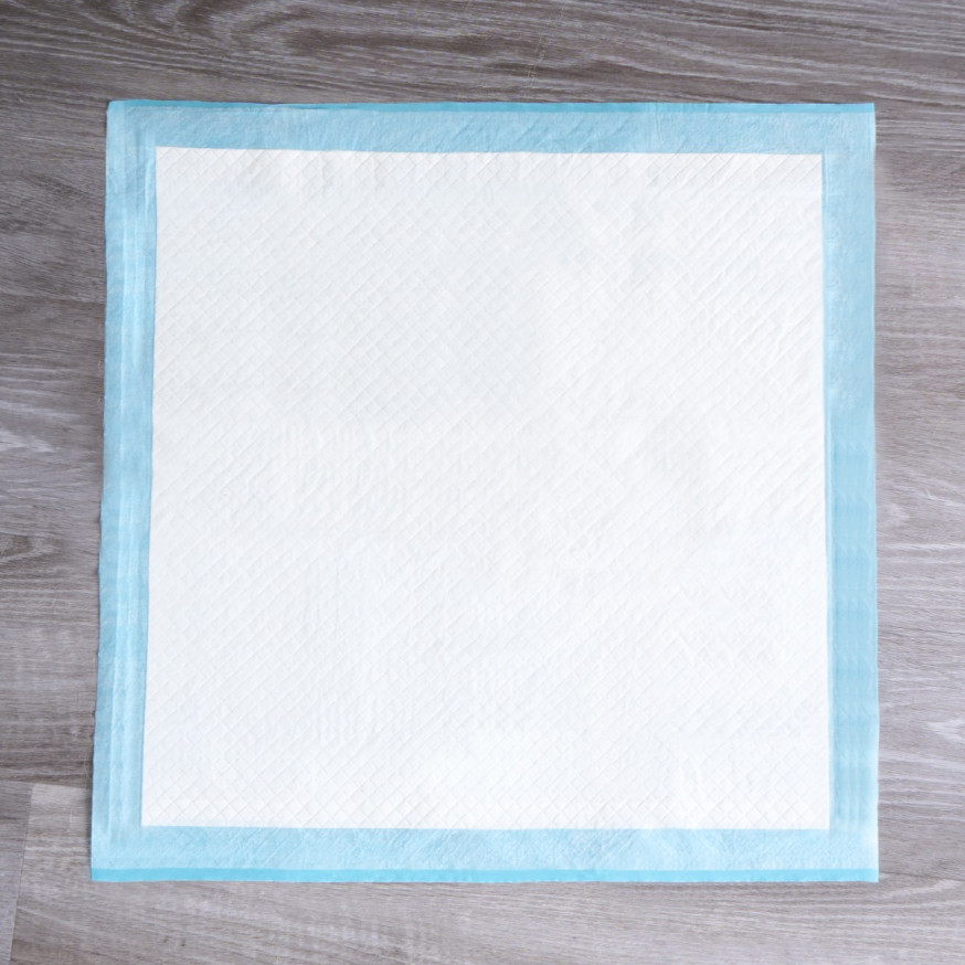 OHS 100 Pack Puppy & Dog Training Pads, 60 x 60cm - White/Blue