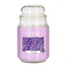 Starlytes 18oz Jar Candle - White Christmas